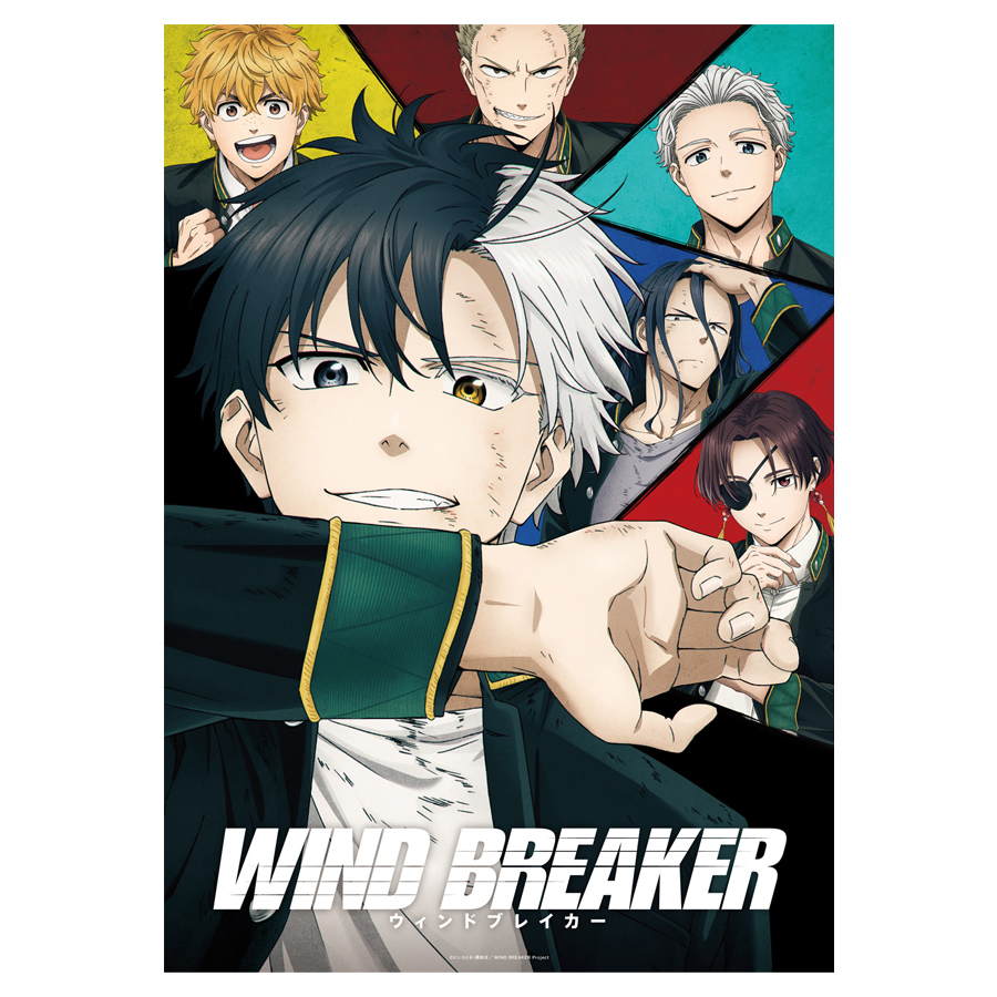 WIND BREAKER／3巻／DVD | TBS・MBSアニメ 公式オンラインストア「アニまるっ！」